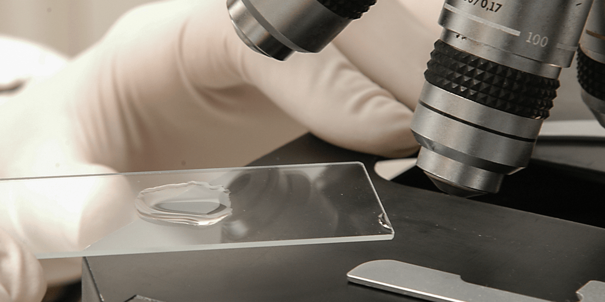 The Basics of Microscope Slides — SmartLabs