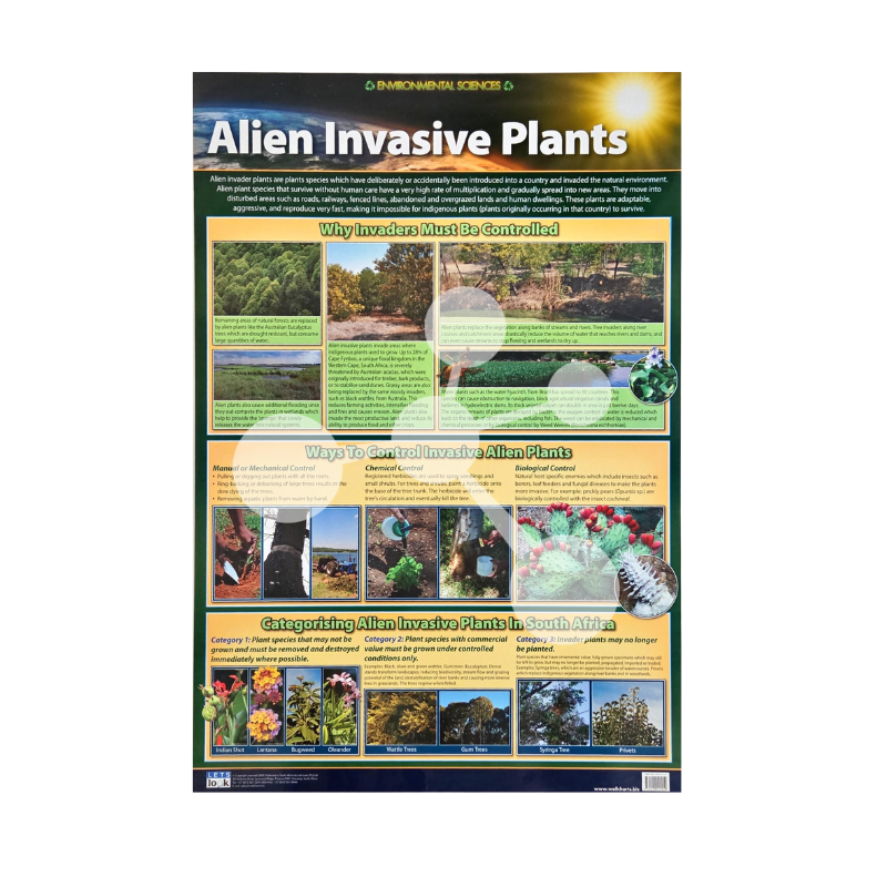 Alien Invasive Plants Environmental Studies Wall Chart — SmartLabs