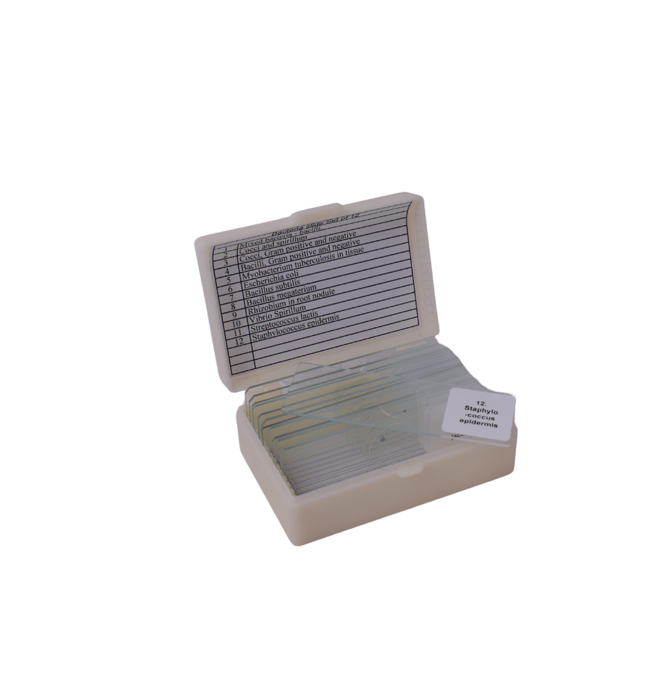 Bacteria slide Set of 12 — SmartLabs