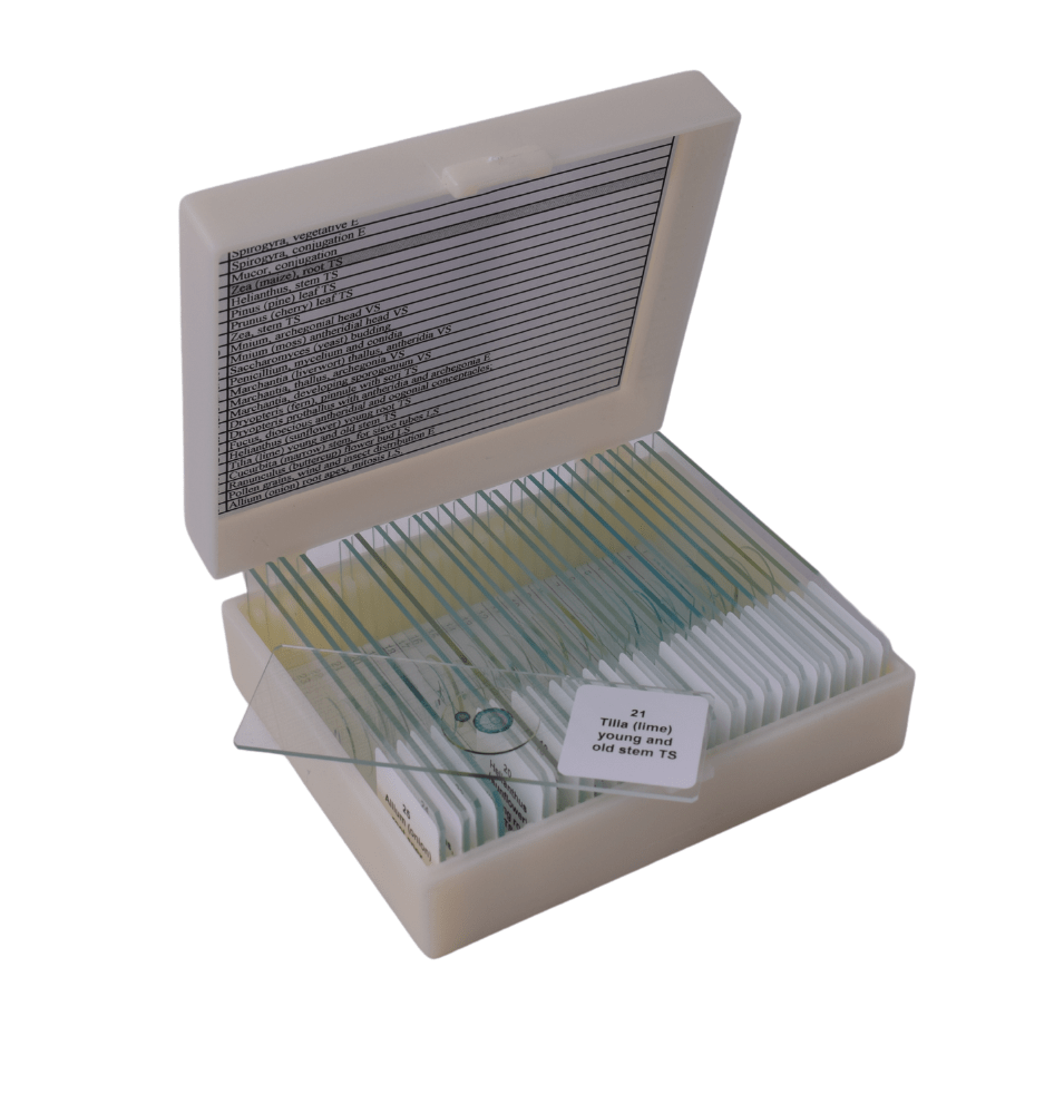 Basic Botany slide set of 25 — SmartLabs