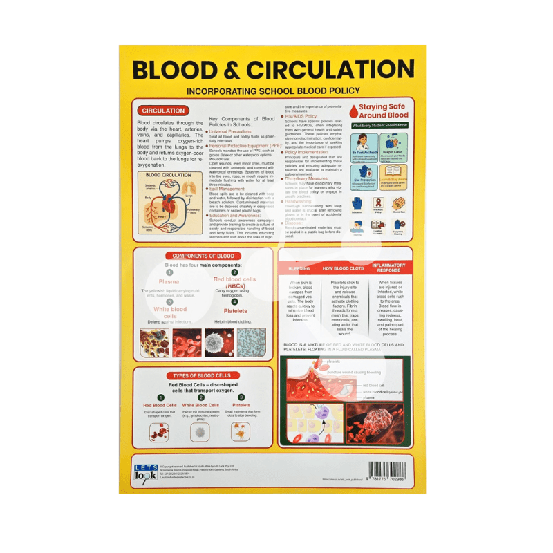 Blood and Circulation Wall Chart for School Science — SmartLabs