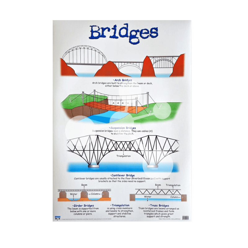 Bridges Wall Chart Types of Bridges and Structures — SmartLabs