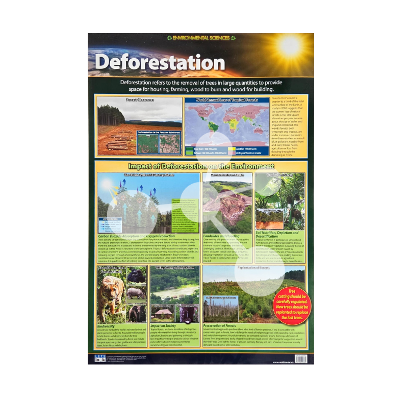 Deforestation Educational Wall Chart for Environmental Studies — SmartLabs