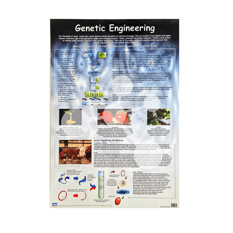 Genetic Engineering Wall Chart for Life Sciences Education — SmartLabs