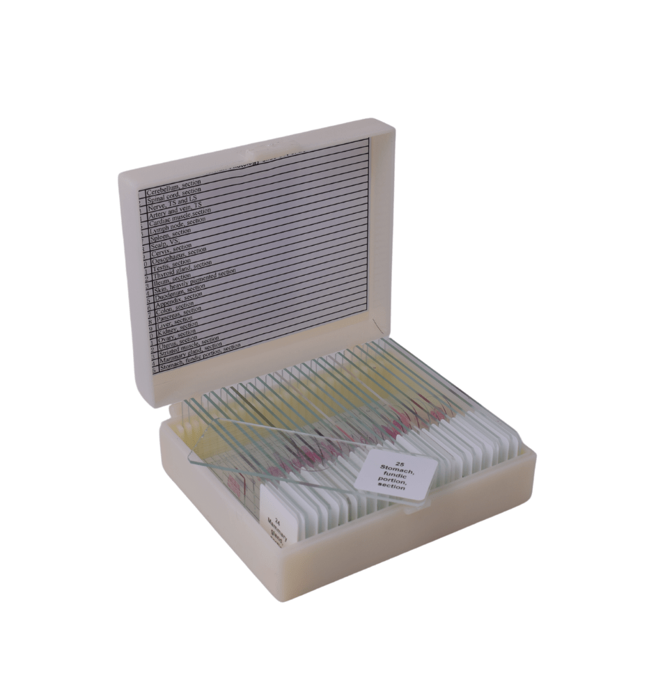 Human Histology slide set of 25 — SmartLabs