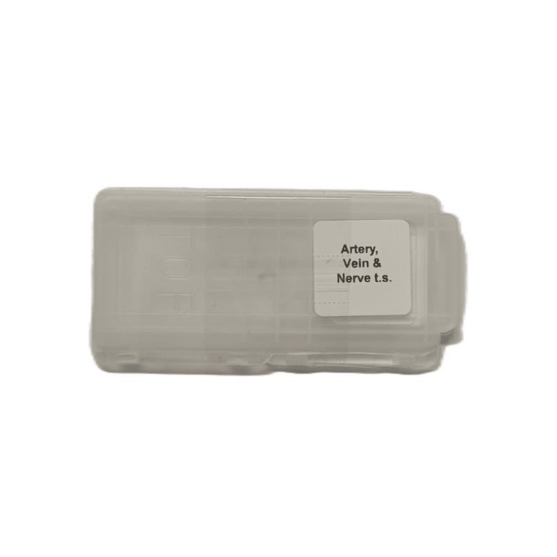 Microscope Slide - Artery, Vein and Nerve t.s. Individually packed in ...