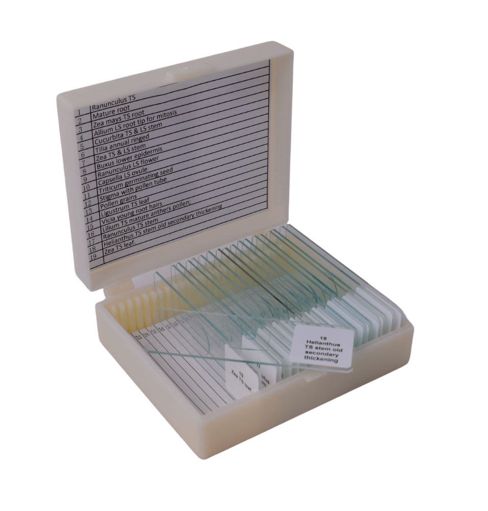 Plant Structure Microscope Prepared Slide Set — SmartLabs