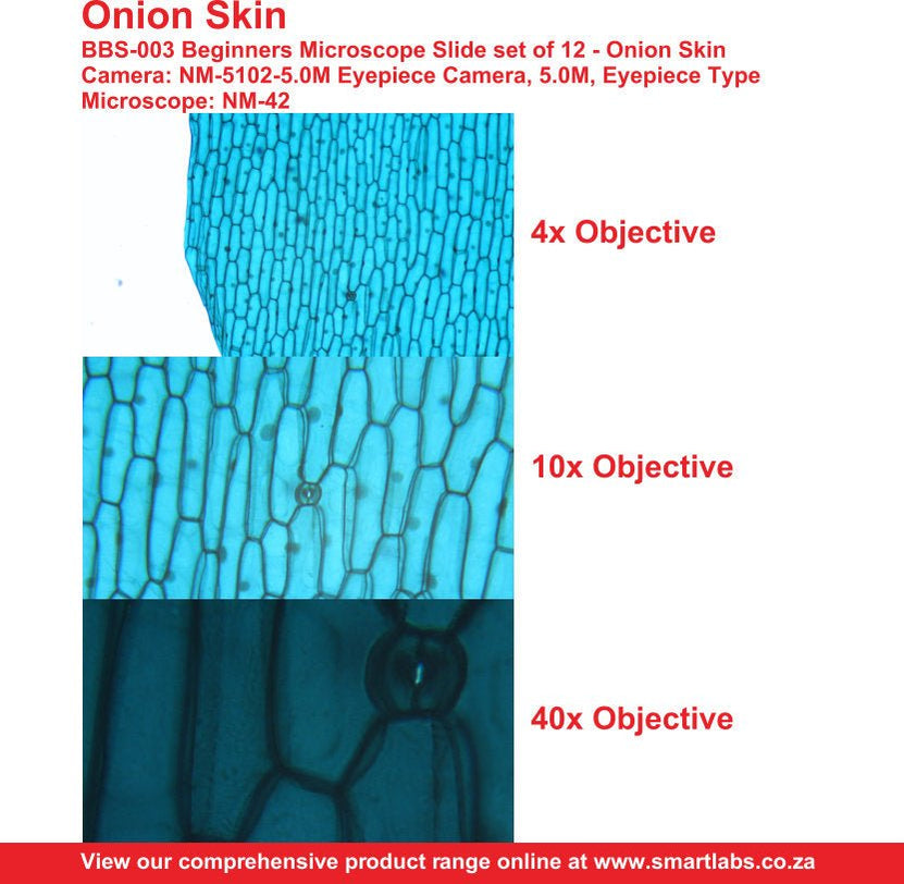 Monocular Student Microscope, 40x, 100x, 400x Magnification — SmartLabs